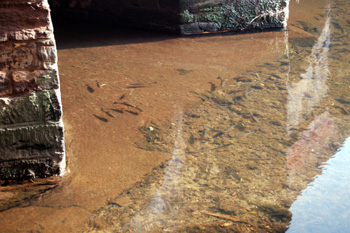 Hosted By Bedford Borough Council: The Parish of Blunham in General