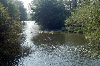 Hosted By Bedford Borough Council: Drownings in Harrold