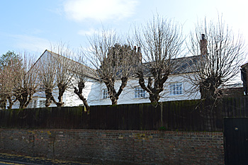 Hosted By Bedford Borough Council: Ivy House - 24 High Street Riseley