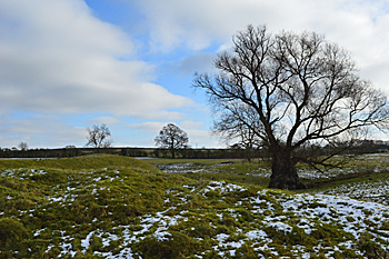 Hosted By Bedford Borough Council: Yelden Castle